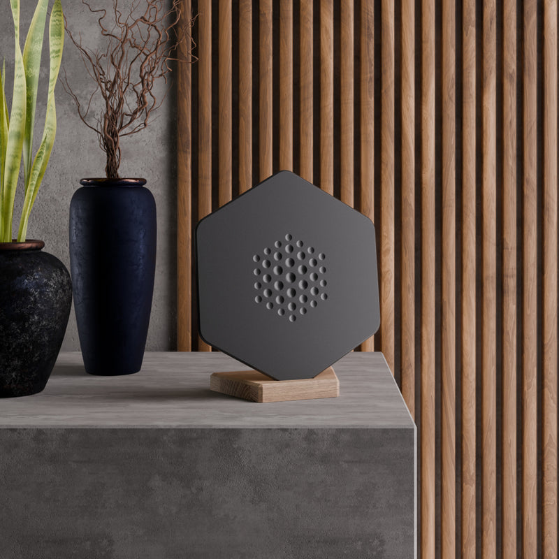 odem home